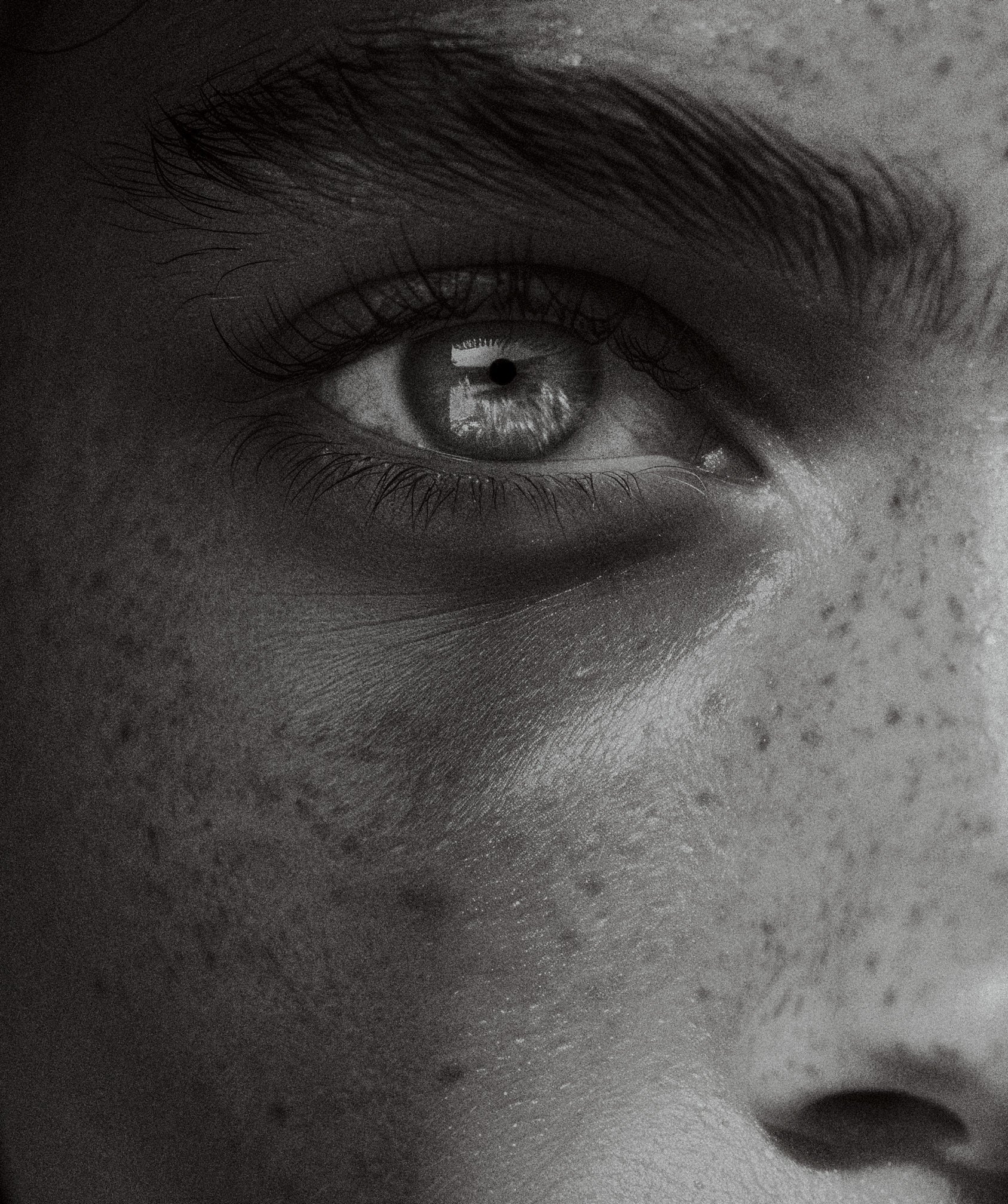 Shumi - Nature's Wisdom Refined